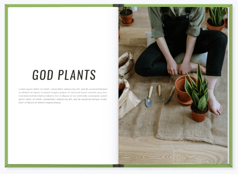 DearFlip 3D Flipbook : Bring Your PDFs to Life